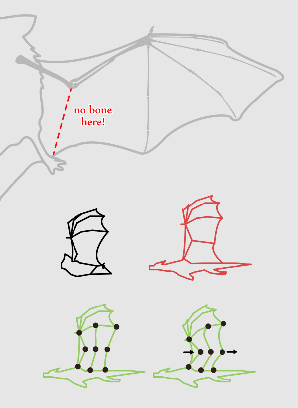 Taking Flight: A Beginner’s Guide Into Drawing Wings | Envato Tuts+