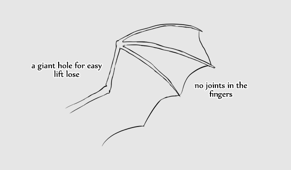 Taking Flight: A Beginner’s Guide Into Drawing Wings | Envato Tuts+