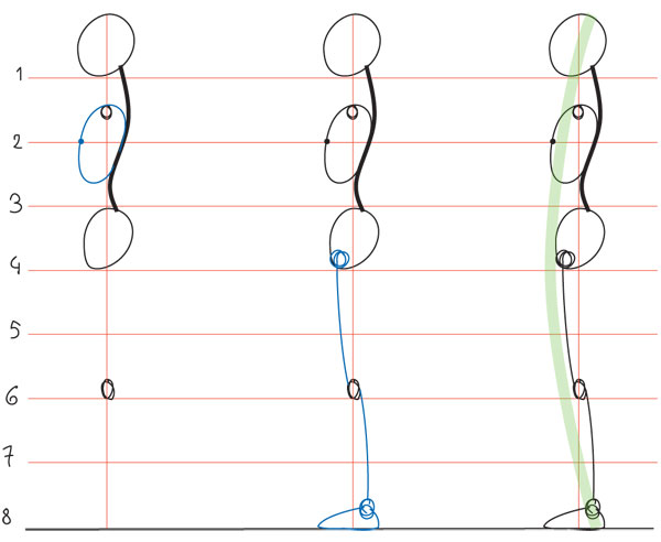 Human Anatomy Fundamentals: Basic Body Proportions | Envato Tuts+