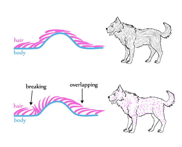 How to Draw Animals: Quickly Render Fur | Envato Tuts+