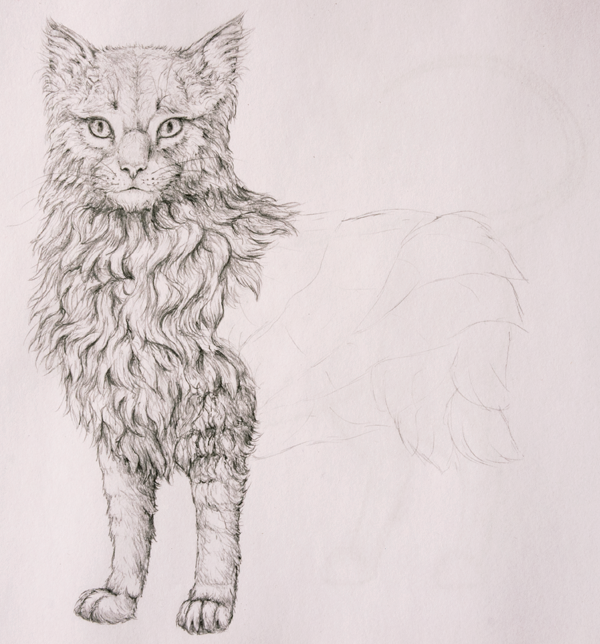 How to Draw Animals: Quickly Render Fur | Envato Tuts+