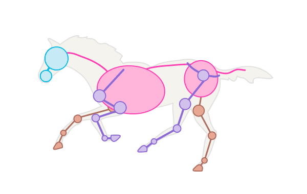 How to Draw Animals: Horses, Their Anatomy and Poses | Envato Tuts+