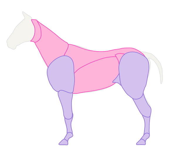 How to Draw Animals: Horses, Their Anatomy and Poses | Envato Tuts+