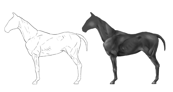 How to Draw Animals: Horses, Their Anatomy and Poses | Envato Tuts+