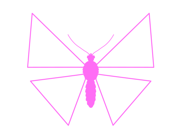 How to Draw Animals: Butterflies, Their Anatomy and Wing Patterns ...