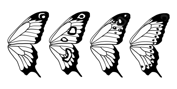 How to Draw Animals: Butterflies, Their Anatomy and Wing Patterns ...