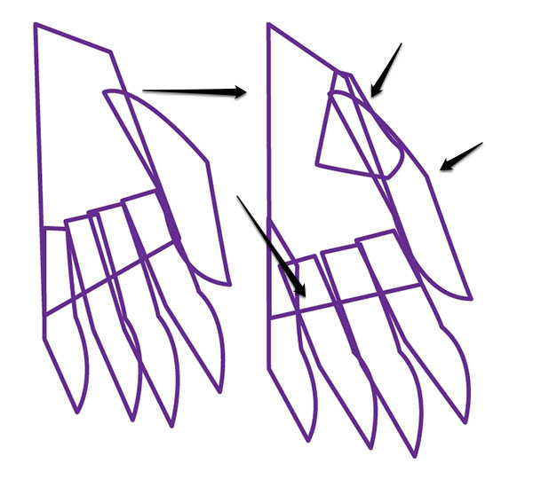 How to Draw a Doll Base Body for a Dress-Up Game in Illustrator ...