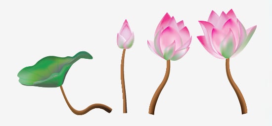 Create A Lotus Flower With Adobe Illustrator CS5 | Envato Tuts+