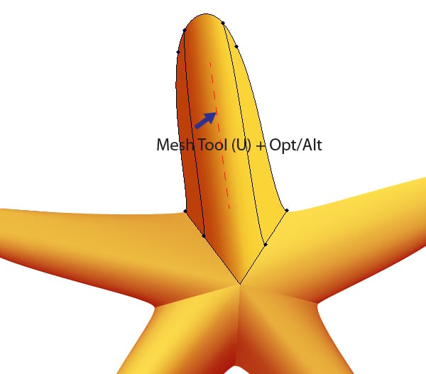 How to Create a Starfish in Adobe Illustrator | Envato Tuts+
