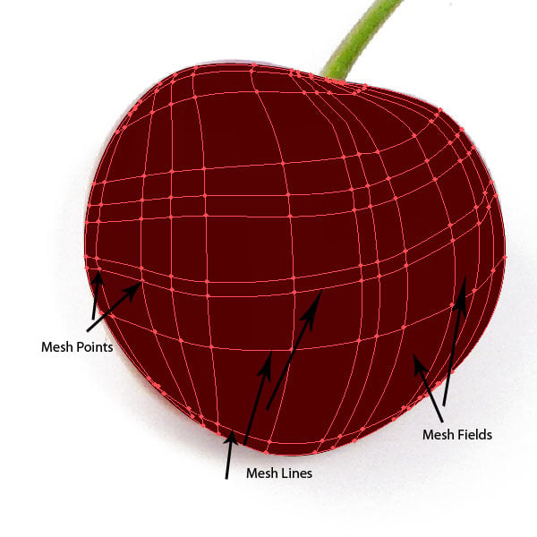 Illustrate a Pair of Sweet Gradient Mesh Cherries | Envato Tuts+