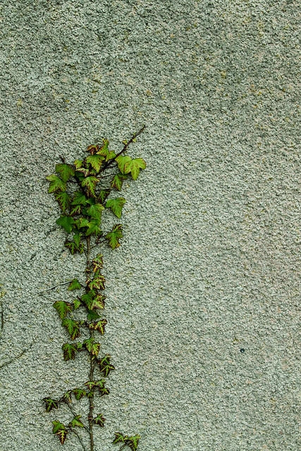 14 Composition Techniques that Will Instantly Improve Your Photos ...