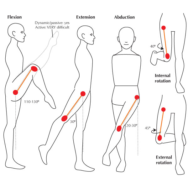 Hand Reference Charts And Hands On Pinterest Hand Reference Charts And Hands On Pinterest